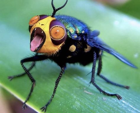 EARTHLINGS,PREPARE! – MichaelLutin.com